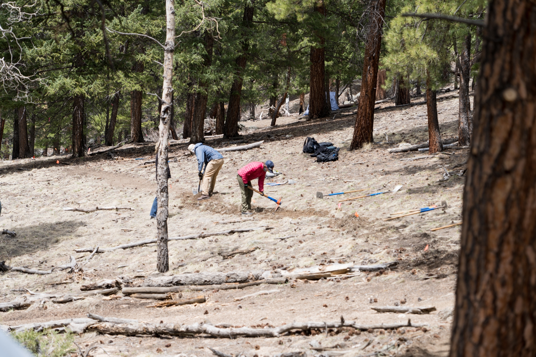 VOC Crew Leader Training at Mt. Evans Outdoor Laboratory – Sylvan Entropy