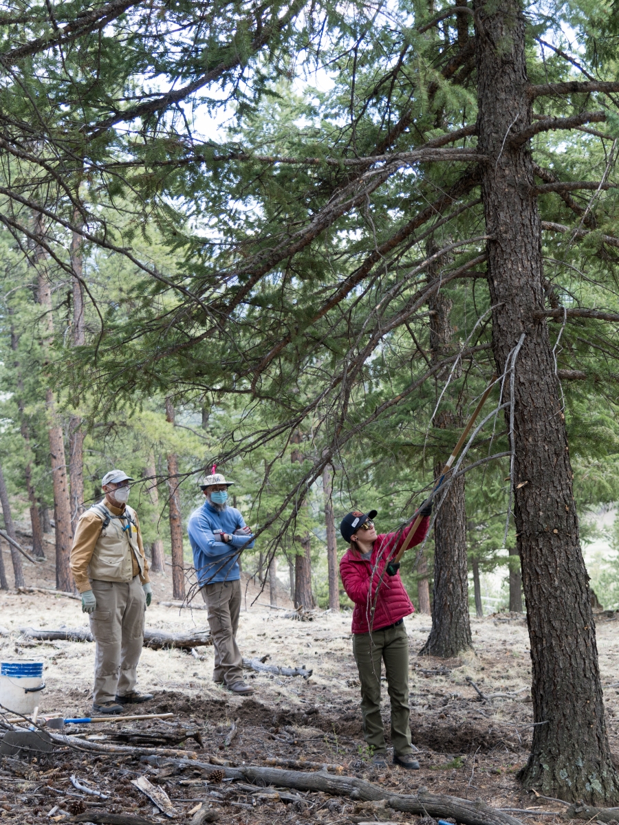VOC Crew Leader Training at Mt. Evans Outdoor Laboratory – Sylvan Entropy