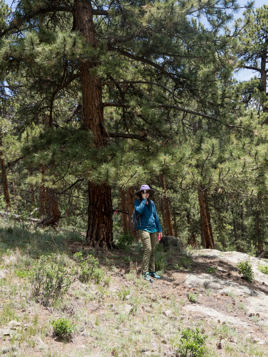 OSI Intro to Trail Design at Mt. Evans Outdoor Lab – Sylvan Entropy
