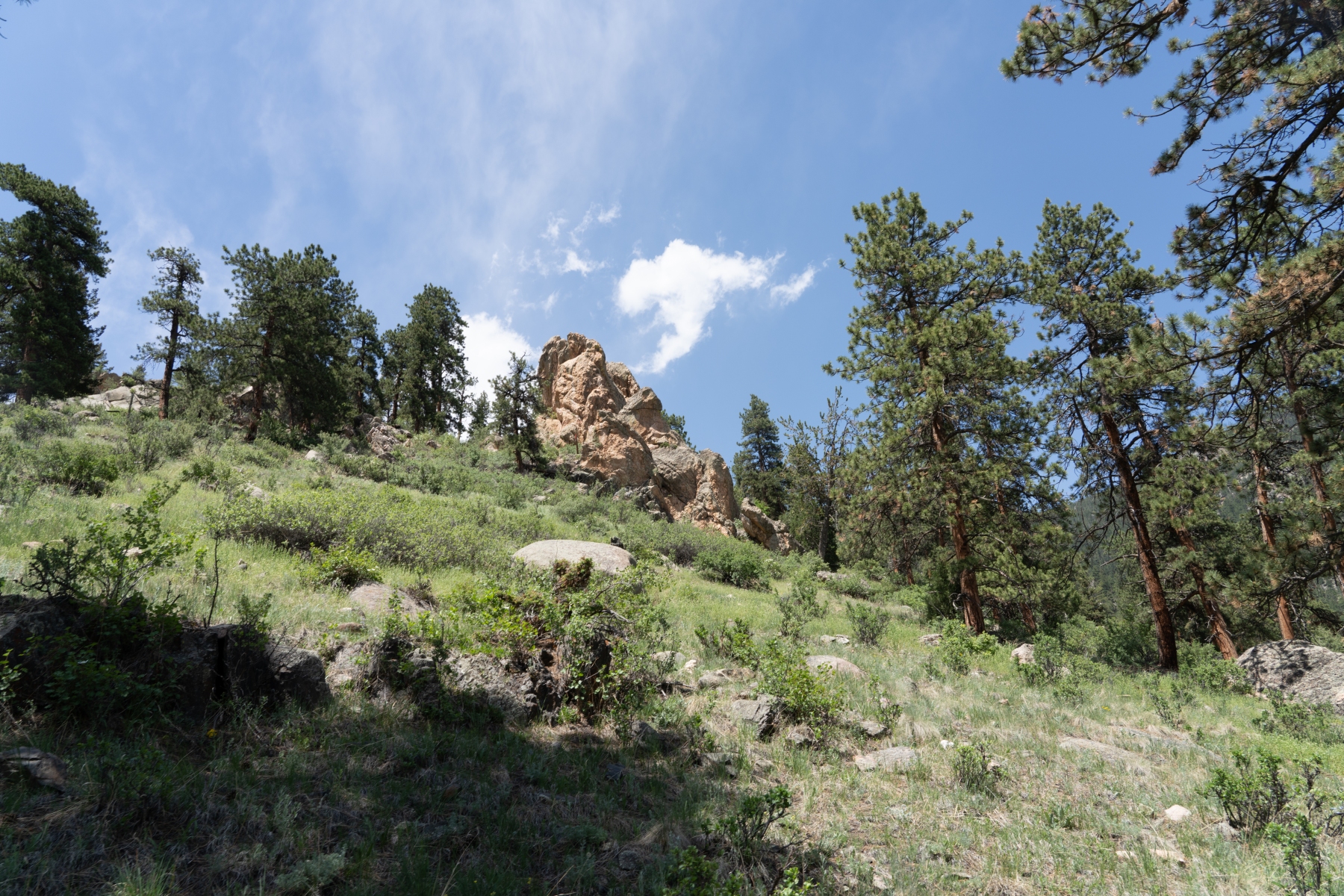 OSI Intro to Trail Design at Mt. Evans Outdoor Lab – Sylvan Entropy